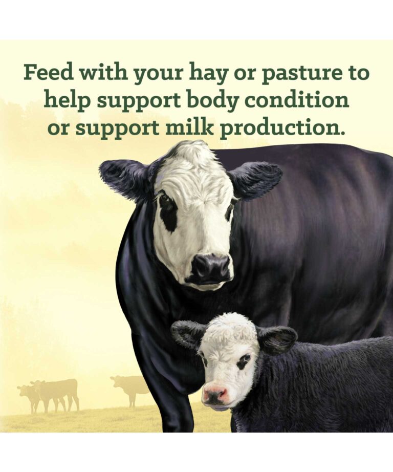 Nutrena 20% Cattle Cubes - Waxahachie, TX - Boyce Feed and Grain