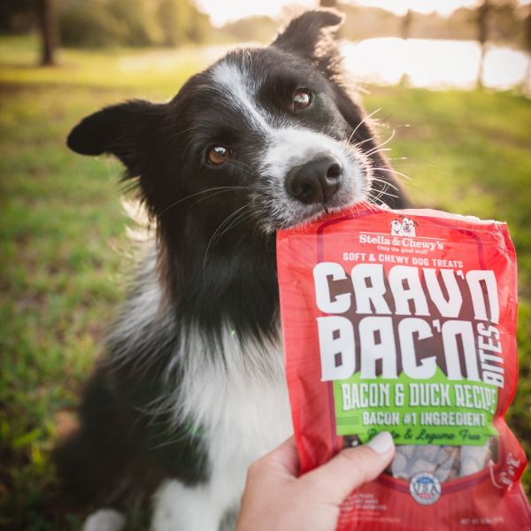 Stella & Chewy's Crav'n Bac'n Bites Bacon & Duck Recipe - Waxahachie ...