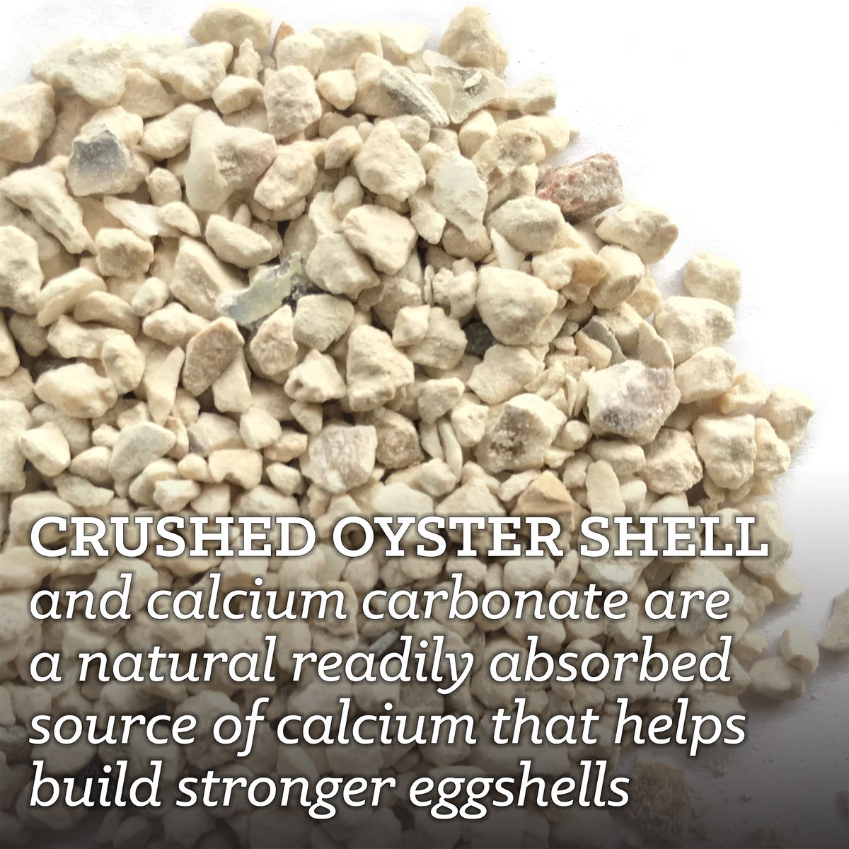 Nutrena® NatureWise® Oyster Shell - Waxahachie, TX - Boyce Feed and Grain